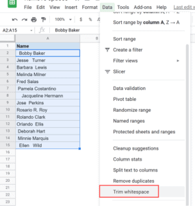 Can Google Sheets Remove Spaces? (Leading, Trailing, Double)